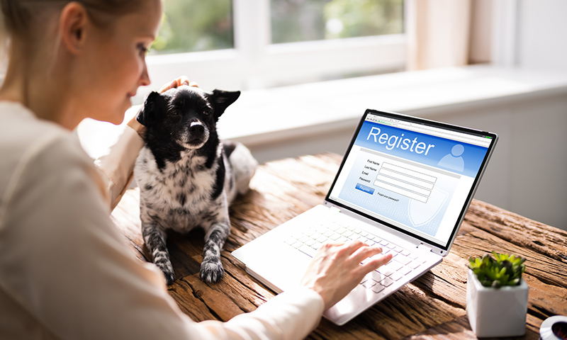 If You Have Pets, Check Your HOA Pet Restrictions ASAP | HHM